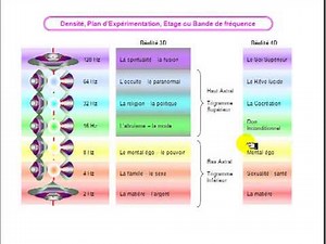 11/12 Le clavier évolutif et fréquentiel du préhumain (Art 59)