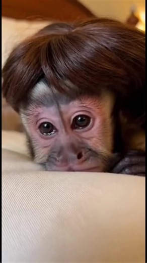 #jajajaja #fypシ #paratii #ai #xyzbca