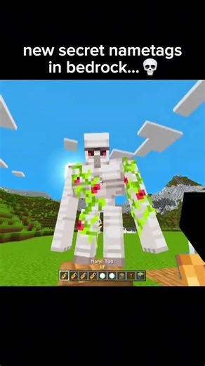 NEW SECRET Name Tags in Minecraft That Do HILARIOUS Things! 😂🔥