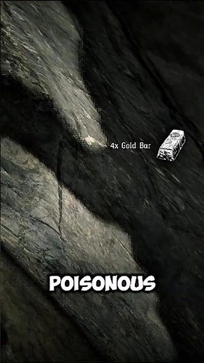 Finding the Poisonous Trail Treasure in Red Dead Redemption 2