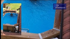 60 reactions · 12 shares | HOME EXERCISE POOLS - SWIM & TRAIN AT HOME...