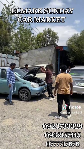 ELMARK Sunday Car Market Highlights