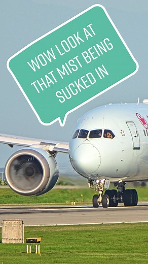 Air Canada Boeing 787 Engine Intake Phenomenon