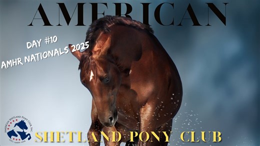 AMHR Nationals 2025 (Day #10) Ford Arena 2025