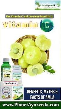 Amla, Indian Gooseberry / Phyllanthus emblica - Superfood Health Benefits by Planet Ayurveda Expert