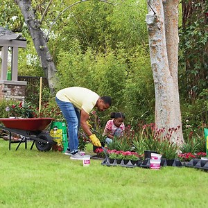 2.8K reactions · 202 shares | Learn everything you need to know before tackling your outdoor projects in this free, interactive livestream. | The Home Depot | Facebook