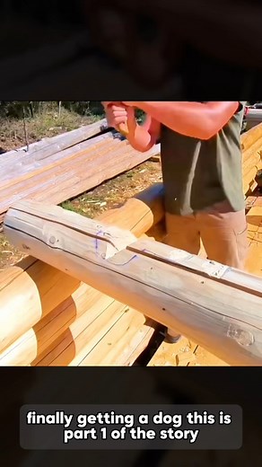 I Spent 2 Years Alone Building My First Log Cabin With No Experience- Part 1 | Jeffrey X