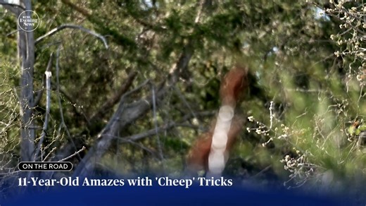289K views · 8.9K reactions | Eight months since we first shared his story, 11-year-old Samuel Henderson is rocking the playground with his impressive bird imitations, and has taken to sharing his skills outside his school’s talent show. | CBS Evening News | Facebook