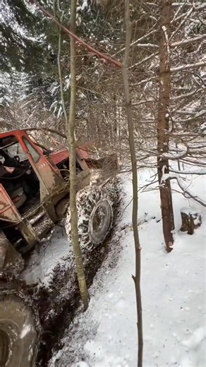 6.8K views · 80 reactions | Logger work with timberjack 漢蝹量 . . . . #foryoupageシ #brotherhood #fyp #love #tbt #logging #usa #today #machine #equipment #history #historia #logger #woodwork #wood #trees #timber #comedy #realestate #reallife | Peake Warren | Facebook