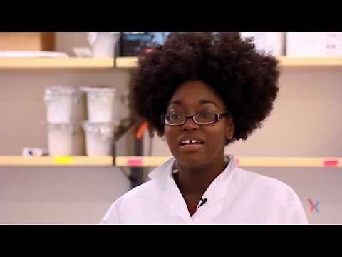 Restriction Enzyme Digest