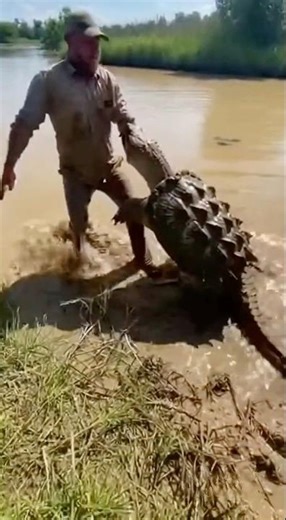 He Barely Held On to This Monster Turtle #shorts #animals #intense