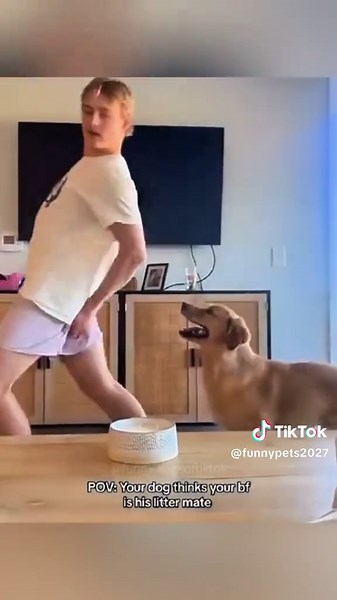 Crazy Dogs 🐾😹😹 #funnydogs #dogsoftiktok #dogvideo #doghumor #puppylove #doglife #funnydogvideos #cutedog #dogcomedy #doglover #happydog #puppyvibes #sillydog #dogreaction #dogtok #dogsofinstagram #petfunny #fyp #goviral #explore