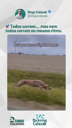 🚀 Todos correm… mas nem todos correm no mesmo ritmo. Dálmata, Labrador, Malinois, Border Collie, Whippet, Sarabi Greyhound… Cada um tem o seu tempo, o seu estilo e o seu limite. Mas o que faz diferença não é ser o mais rápido, e sim continuar correndo até o fim. 🏁 Na vida e nos negócios é igual: Alguns vão disparar na frente, outros vão chegar depois — mas só quem não desiste cruza a linha de chegada. Agora me conta 👇 ➡️ Você é o tipo que corre pra ganhar ou que para quando vê alguém te ultra
