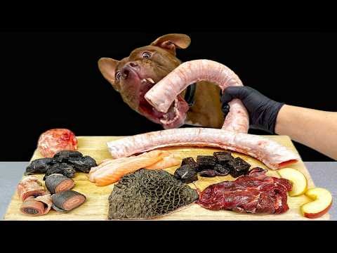 Best Dog ASMR Pitbull Eating Raw Foods