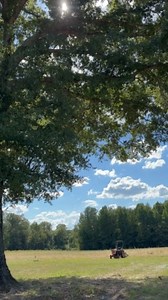 197 reactions · 13 shares | LOCATION - BIG OAK TREE Finding peace and shade under the big oak tree today.  This serene spot is the perfect setting for ‘Let’s Chat at the Farm’ classes. Join us for inspiring conversations and a touch of nature’s tranquility. #FarmLife #PeacefulMoments #LetsChatAtTheFarm #TheCharlestonFarm #BlackBelt #BlackBeltFarmers | Janie Charleston Clay | Facebook