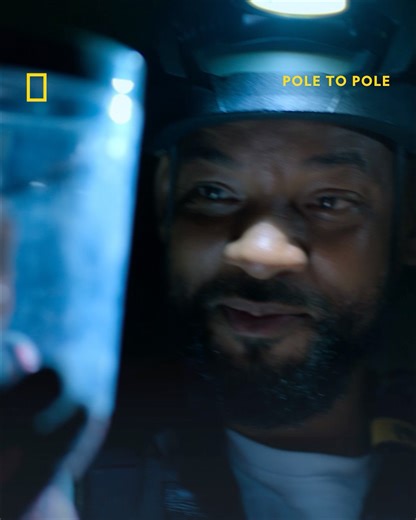 Fighting his fear of spiders, Will Smith captures a giant tarantula in a jar and soon realises that the eight-legged monster, though resembling a goliath birdeater, is not known to inhabit the region. This discovery could be groundbreaking, as they may have just uncovered a species the world has never seen. Watch Pole to Pole with Will Smith, Wednesday 21st January at 8pm, on National Geographic UK. Also Streaming on Disney | National Geographic UK