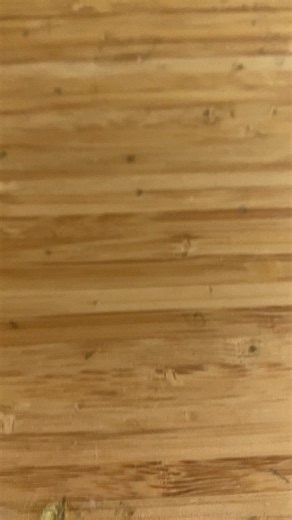 one day i am gonna grow wings | wings