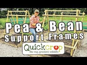 Pea and Bean Support Frames