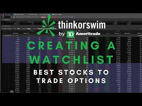 BEST Stock Options To Trade || Creating A Watchlist