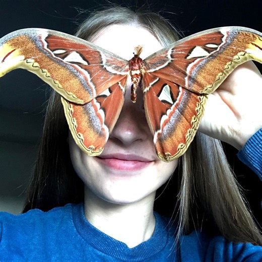 Insects are so cool! #autisticadult #autism #autistic  #greenscreen | Soundoftheforest | Facebook