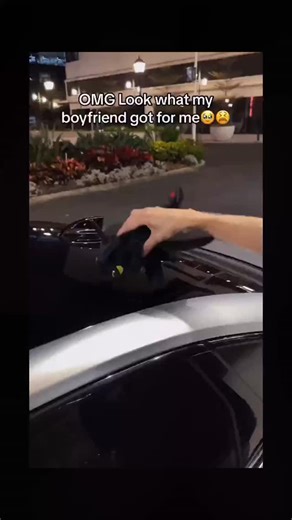 Original Toothless Plush on Instagram: "Toothless plush: Your new favorite car companion. 🌟 #CarCompanion #ToothlessInCar #PlushMagic #FantasyJourney #CarVibes"