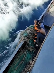 6.3M views · 3.9K reactions | The hectic daily life of fishermen at sea  | Simple Life | Facebook
