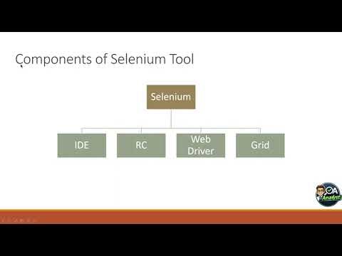 Different Components of Selenium Tool | Selenium Suite Explained for Beginners in Software Testing