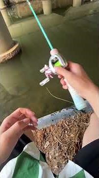 Catch & Cook Challenge 2025 — Freshest Fish Ever!