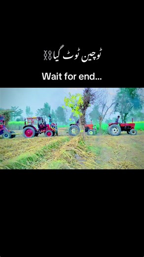 Understanding Agricultural Model Farms: A Comprehensive Guide