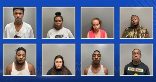 Decatur raid uncovers drugs and guns, eight in jail