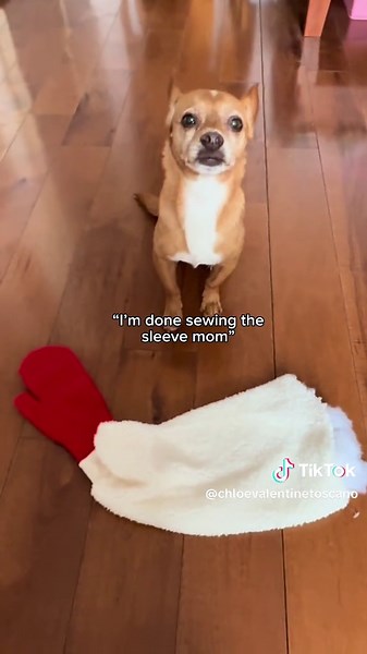 Lamb Chopped Halloween Costume Ideas