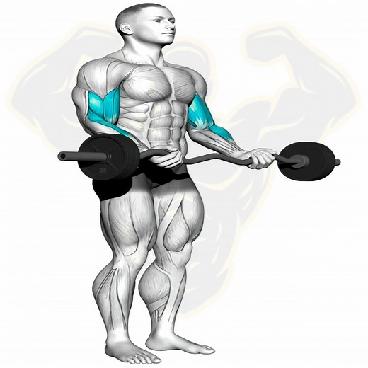 27K views · 1.2K reactions | Bigger biceps workout | Muscle man | Facebook