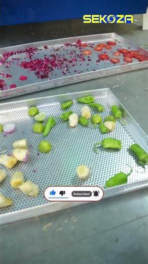 Heavy Duty Tray Dryer Machine Perfect For Food & Spices. #TomatoDrying #FlowerDrying