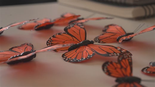 A stroke of symbolism: The meaning of the monarch butterfly in migration