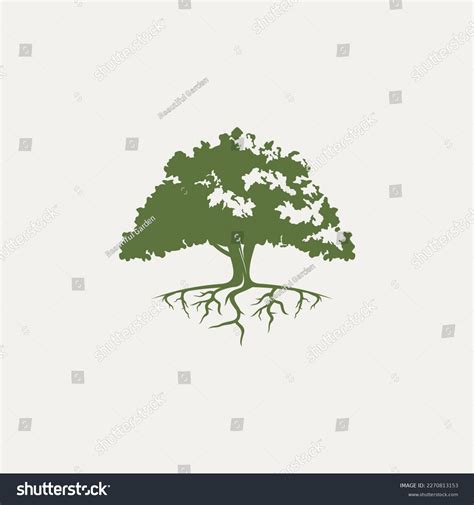 Tree Roots Logo Design Vector Isolated Stock Vector Royalty Free
