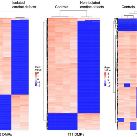 Heatmaps Of DMRs Showing Relative Hypomethylation Levels In Fetal Heart