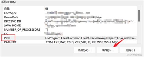 win11配置java path环境变量（保姆级教程） win11 java环境变量 csdn博客