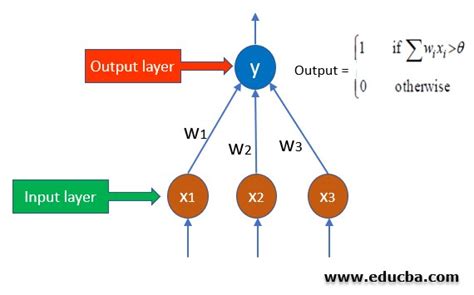 single layer perceptron complete guide to single layer perceptron
