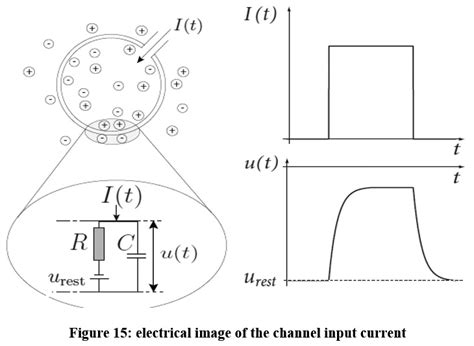 boolean models guide intentionally continuous information and computation inside the brain