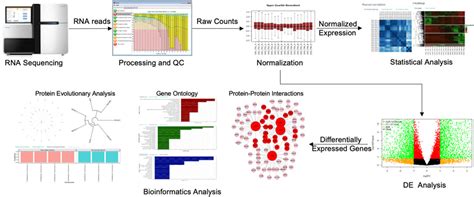 frontiers genecloudomics a data analytic cloud platform for high throughput gene expression