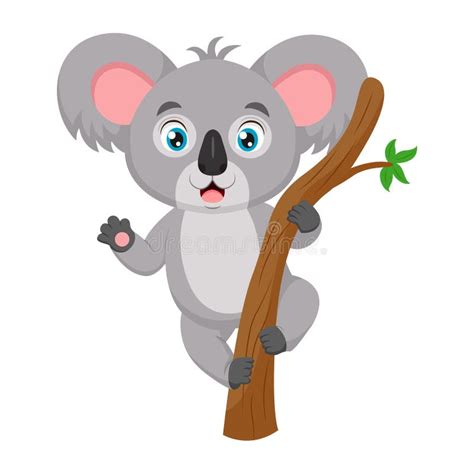 Cute Baby Koala Cartoon On Tree Branch Stock Vector Illustration Of