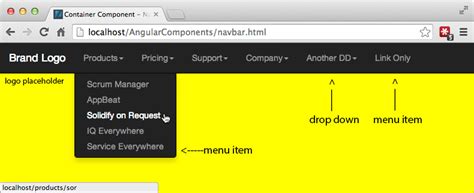 read web component architecture and development with angularjs leanpub