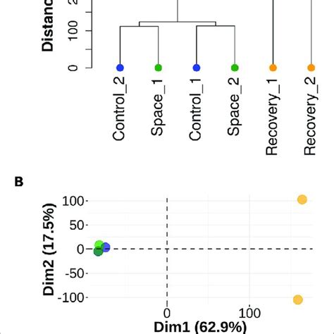 hierarchical clustering and principal component analysis a download scientific diagram