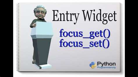 Python Tkinter Entry Widget Focus Get And Focus Set English 4
