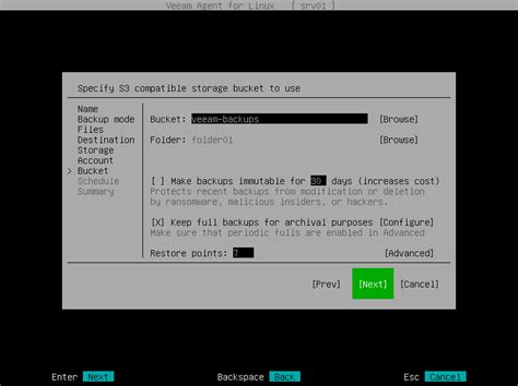 S3 Compatible Settings Veeam Agent For Linux User Guide