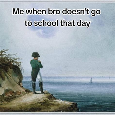 Napoleon TikTok Meme Napoleon There Is Nothing We Can Do Know