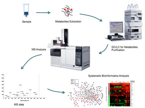 Targeted Metabolomics Service Creative Proteomics