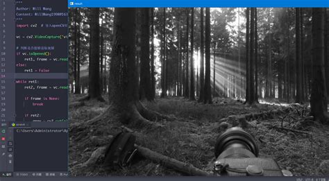 【基础】视频的读取与显示 — pythonand图像处理教程 文档