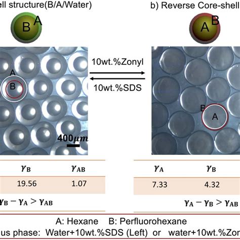 the transformation process between the core shell structure and download scientific diagram