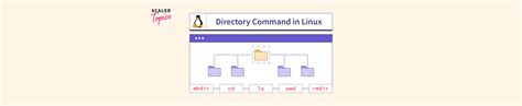 Directory Command In Linux Cheat Sheet Scaler Topics